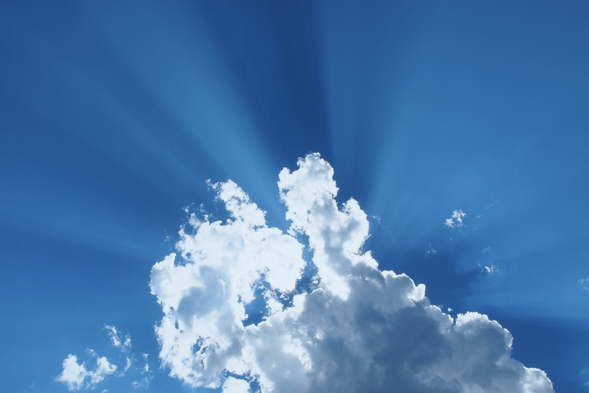 Vitamin D: The Shocking Facts That Show How Crucial The Sunshine Vitam ...